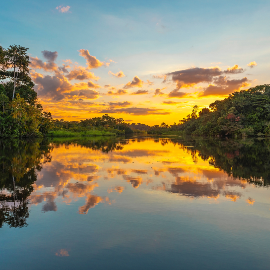Explorando Amazonas – BACATÁ TRIP CO SAS